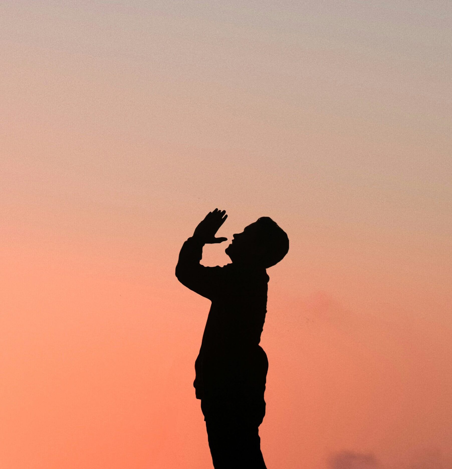 Update on Basma - Middle East Media